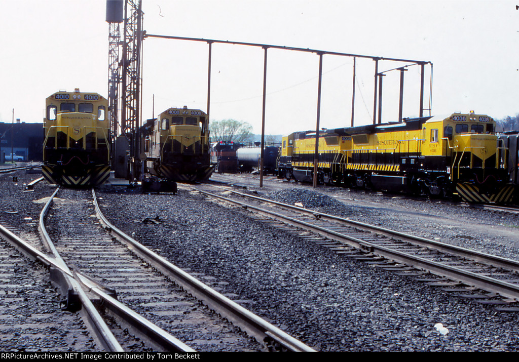 Looking like big time